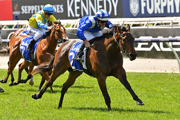 Race Is On For A Start In The Blue Diamond | Racing and Sports