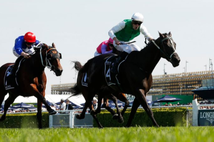 History Beckons As Bobbing Chases Double | Racing and Sports