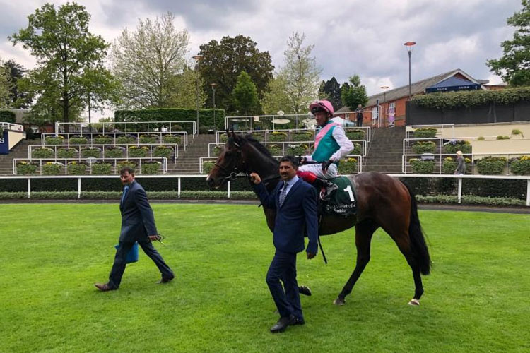 Calyx Wins G3 Commonwealth Cup Trial Stakes | Racing and Sports