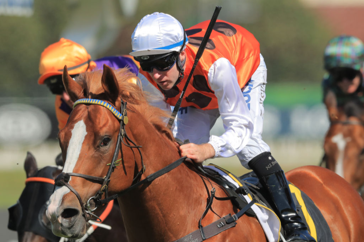 Dirty Work Has Form To Clean Up Rivals | Racing and Sports