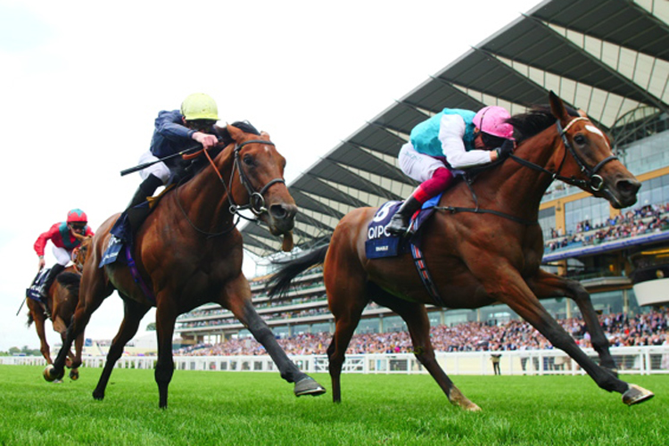 Three-Way Tie For World's Best Racehorse | Racing and Sports
