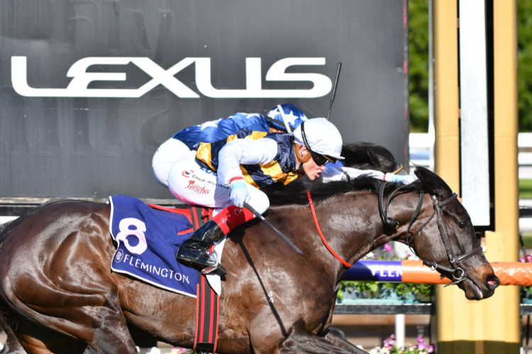 Future Score In Order For Mornington Cup | Racing and Sports