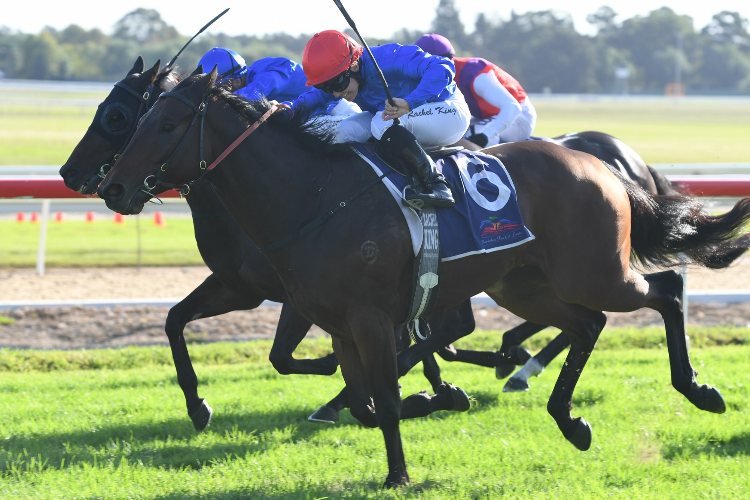 Intuition Leads Goldman Charge To Victoria | Racing and Sports