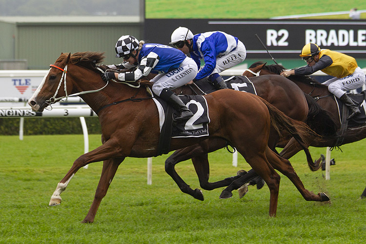 Benchmark 78 Handicap The Right Race For Itz Lily | Racing and Sports