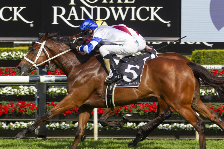 2020 Bill Ritchie Handicap: Race History | Racing and Sports