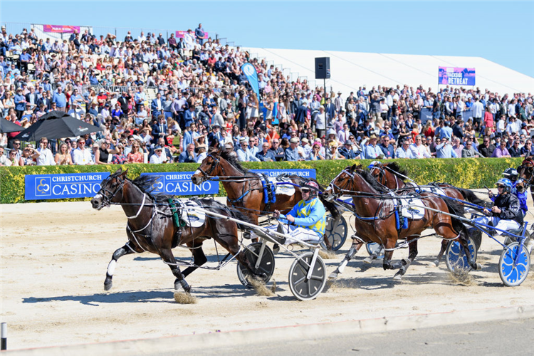 Addington Harness Picks - Thursday, 7 August | Racing and Sports