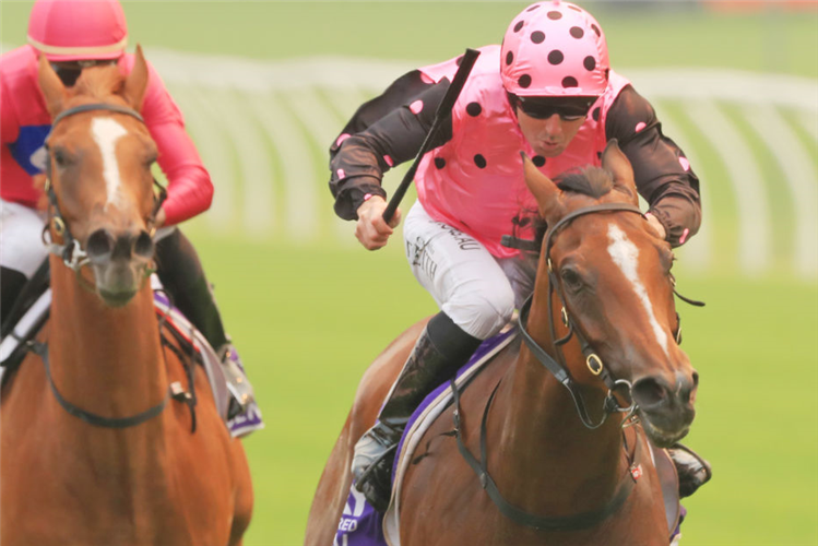 Jason Witham's Randwick Kensington Picks - Tuesday, 11 June | Racing ...