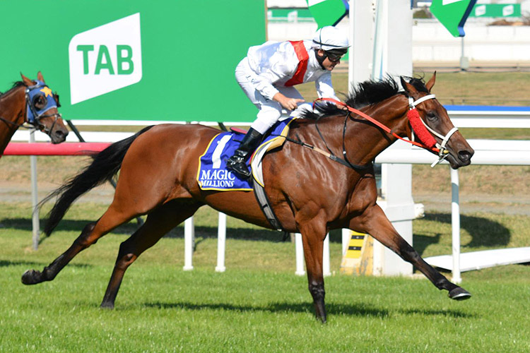 Brunton's Star Gone But Not Forgotten | Racing and Sports