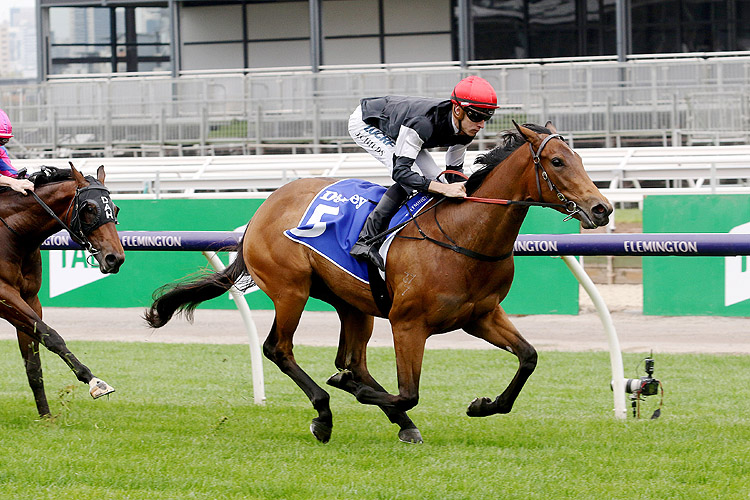 2020 Blue Diamond Preview (F): Nominations | Racing and Sports