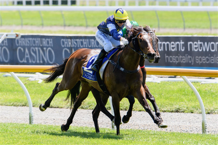 Riviera Ready To Rock At Riverton | Racing and Sports