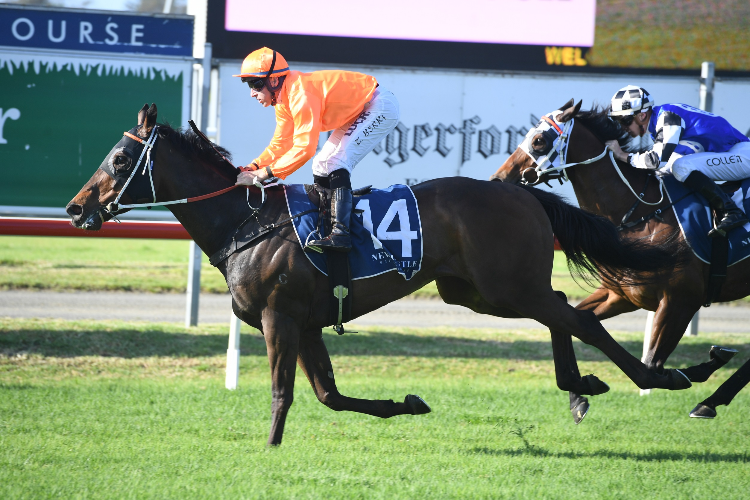 2020 Liverpool City Cup: Nominations | Racing and Sports
