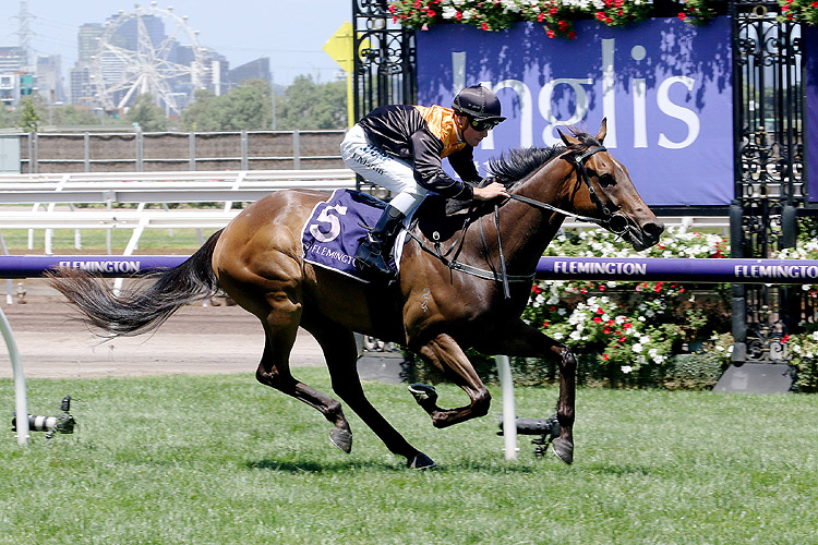 Rox The Castle Takes Step To Stakes Grade | Racing and Sports