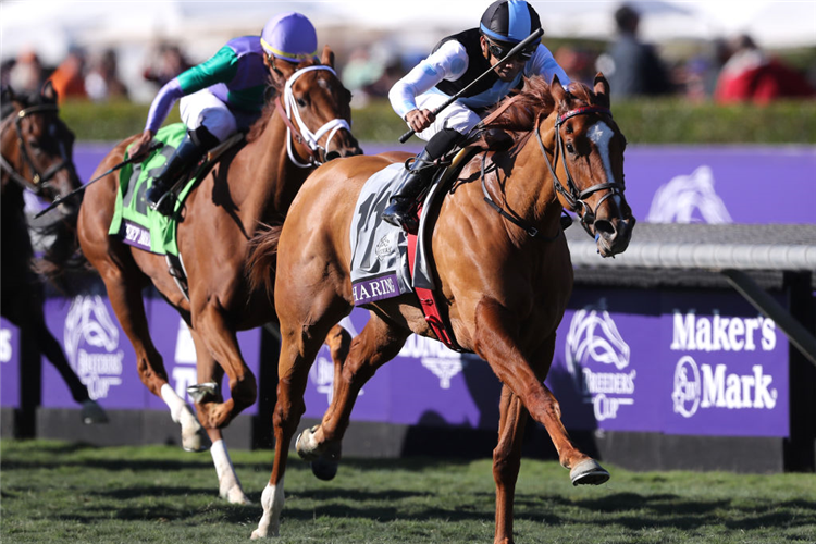 ‘One Of The Best I’Ve Trained’ – Graham Motion Salutes Breeders’ Cup ...