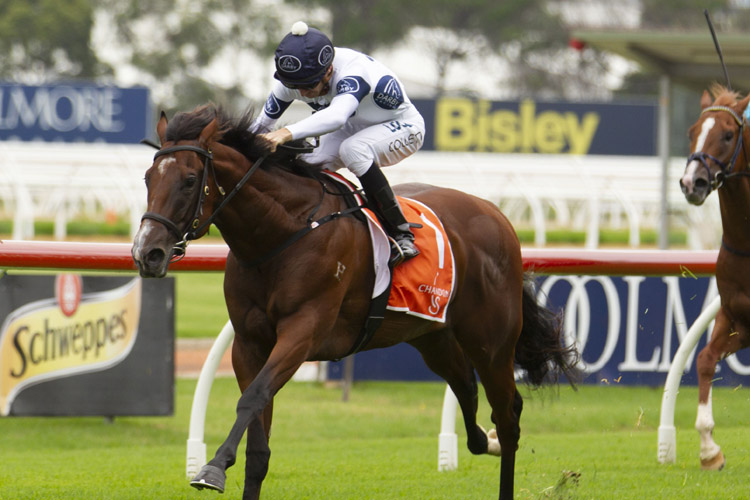 Chris Scholtz - Early Thoughts | Racing and Sports