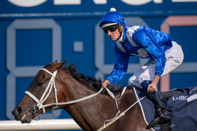 Tragedy For Winx As Her First Foal Dies | Racing and Sports