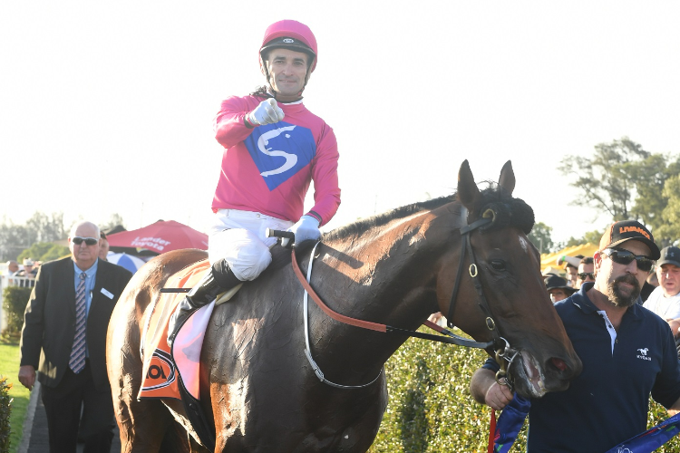 Corey Brown Has Been Appointed Racing Nsw Head Jockey Coach | Racing ...