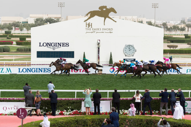 Challenge Accepted - Irish Sprinter Out To Make An Impact In £250,000 ...