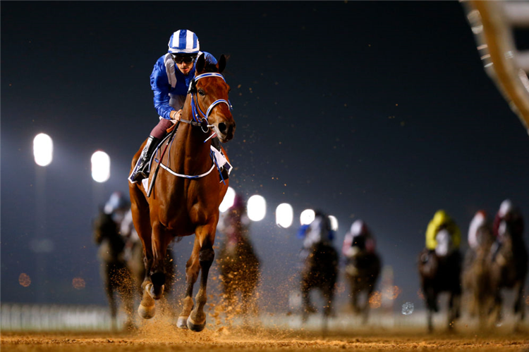 Victorious Forever Enjoy Meydan Double | Racing and Sports