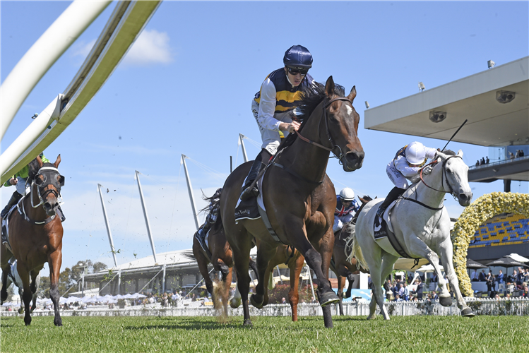 Brad Gray's Tips For Rosehill Gardens (Saturday) | Racing and Sports