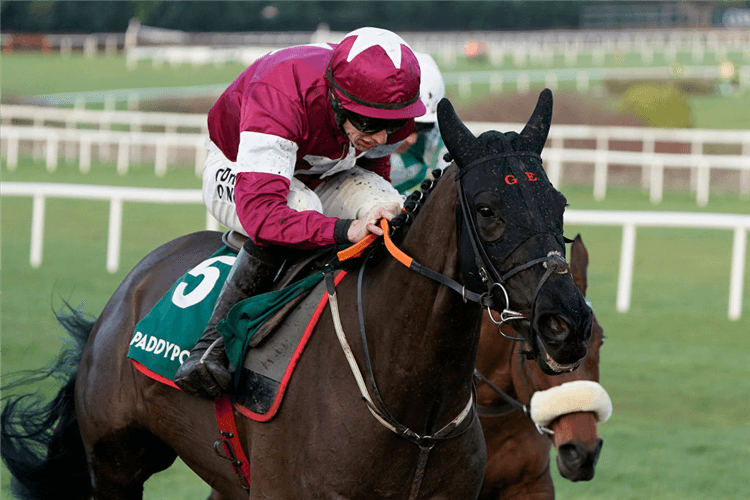 Delta Made To Work For Punchestown Win | Racing and Sports