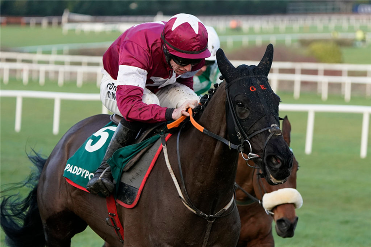 Delta Made To Work For Punchestown Win | Racing and Sports