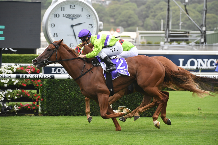 Matt Dunn Dominates Country C'ship Heat | Racing and Sports