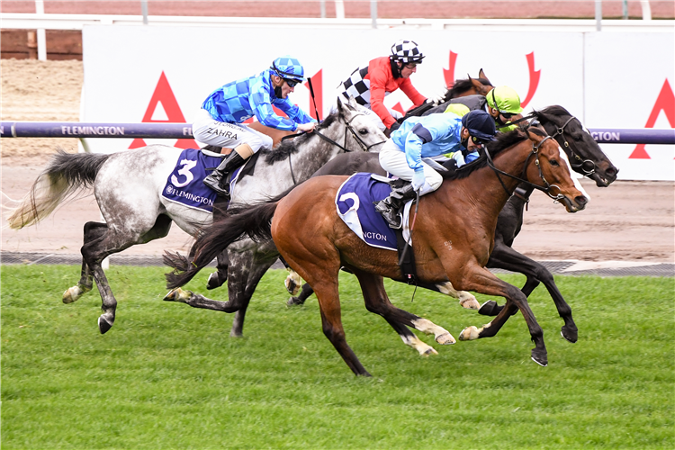 Connections Confident About Lord’S Chances | Racing and Sports