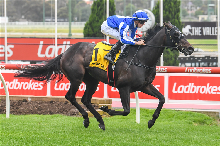 Ocean's Thirteen Wins Vale Jim Marconi Handicap: Post Race Trainer And ...