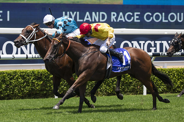 Juveniles Jostle For Final Slipper Spots | Racing and Sports