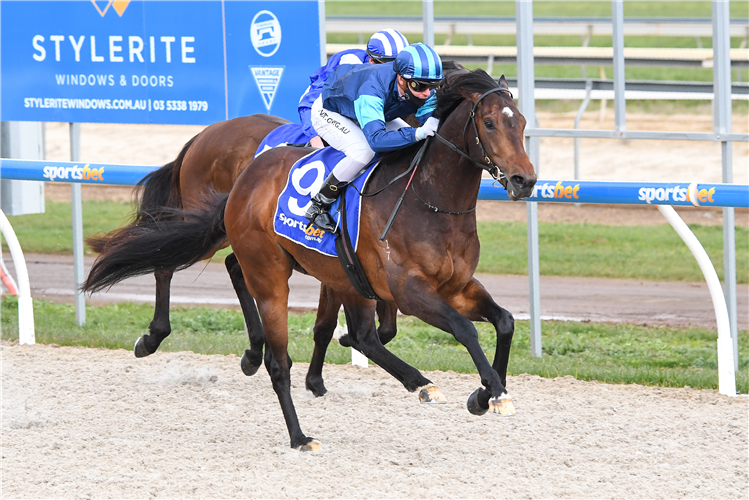 Portland Sky On Target For William Reid Stakes | Racing and Sports