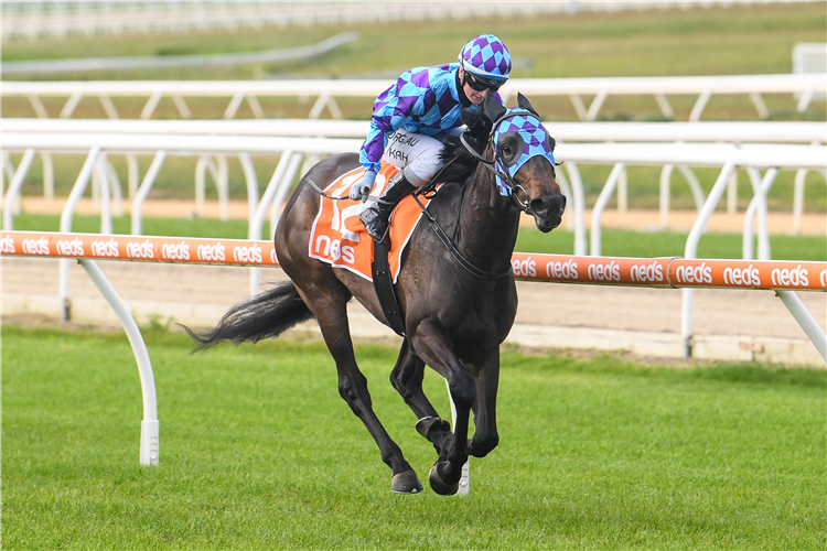 Ladbrokescomau: Will Pride Of Jenni Continue Her Giant Killing Ways In ...