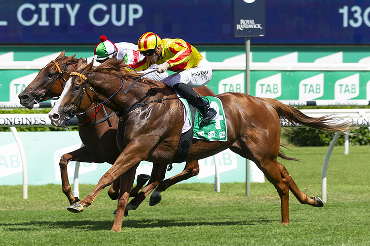 Quackerjack Ready To Rebound At Randwick | Racing and Sports