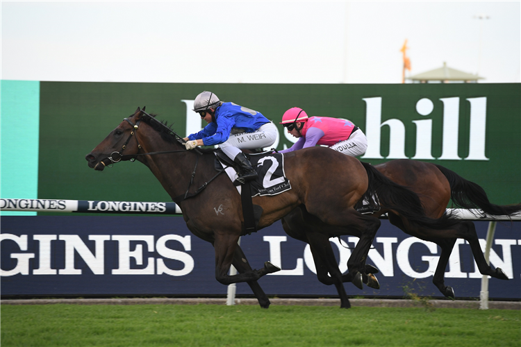 Ladbrokes Blog: 2024 January Cup Day Preview | Racing and Sports