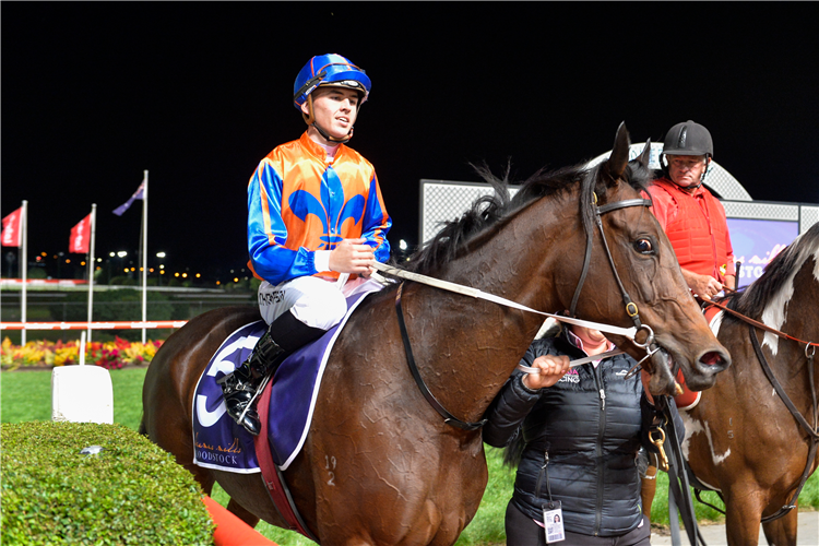 Tiger Shark Ready To Bite | Racing and Sports