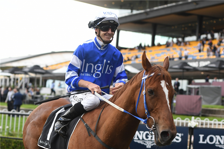 Gallop Gives Collett Confidence About Gytrash's Everest Progress ...