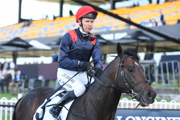 Mcevoy's Melbourne Cup Fine Cut On Appeal | Racing and Sports