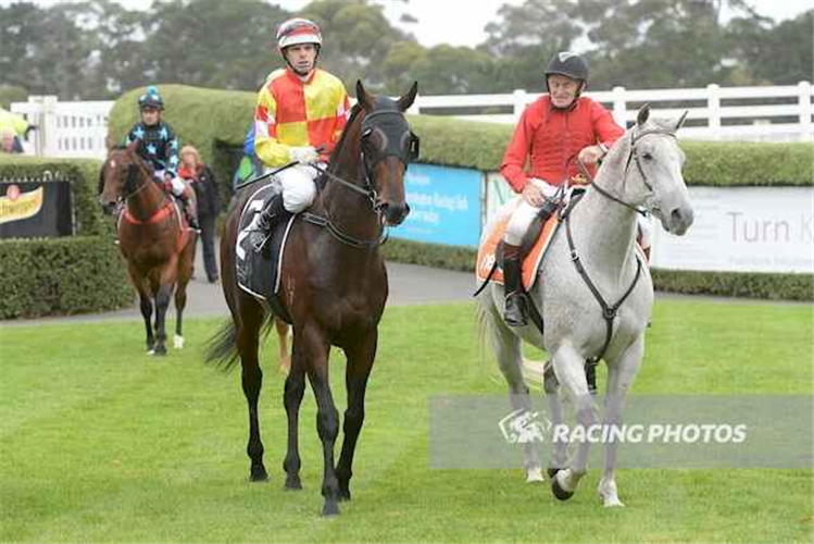 Vainstream Breaks City Duck At Caulfield | Racing and Sports