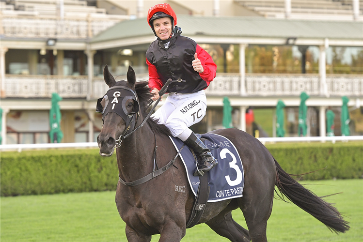 Clark In Lane For More Stakes Success | Racing and Sports