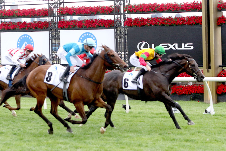 2022 Chatham Stakes: Race History | Racing and Sports