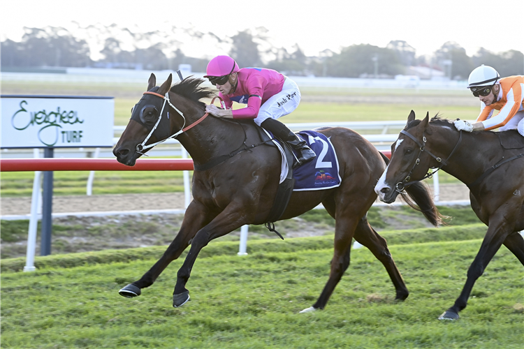 2023 Hawkesbury Gold Cup: Race History | Racing and Sports