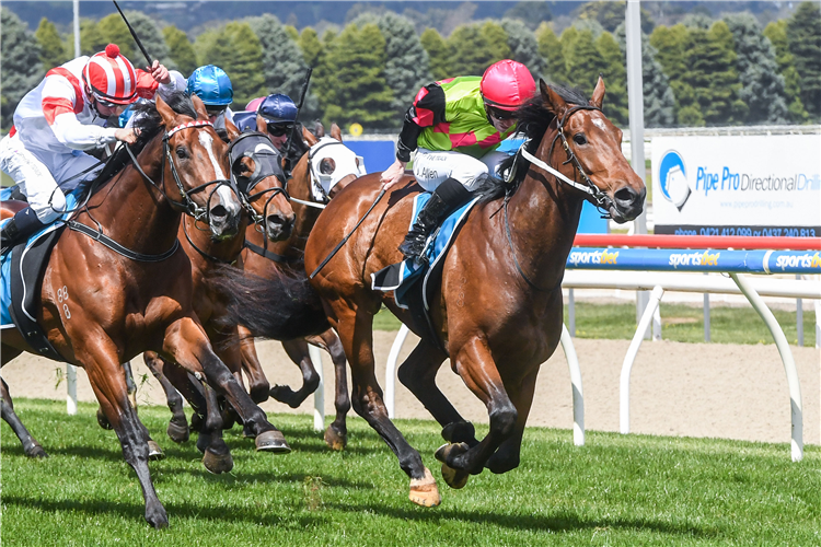Brooklyn Wants To Be Boss At Sandown | Racing and Sports