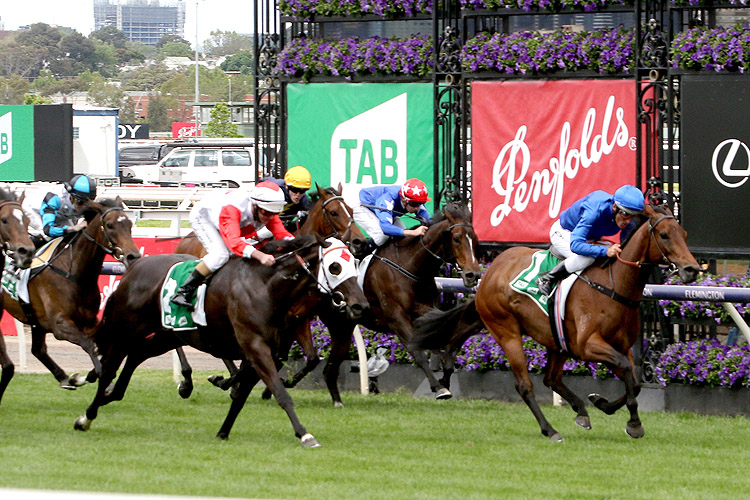 2021 Mackinnon Stakes: Final Field, Barriers And Market | Racing and Sports