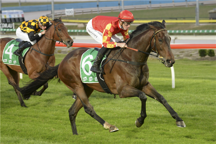 Early Scratchings And Track Conditions For Cranbourne | Racing and Sports