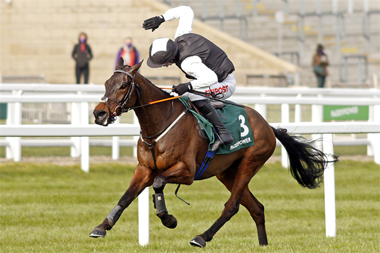 Flooring Porter And Vanillier Spearhead Cromwell’S Festival Squad ...