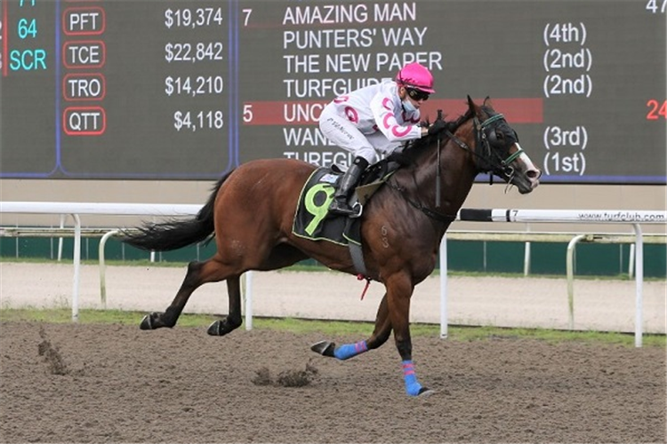 Owner Thanks Vets For Hello Michelle's Win After Four Years | Racing ...