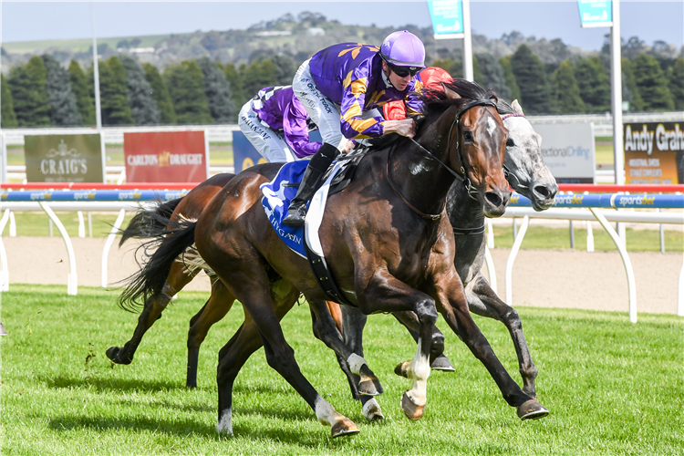 Highland Jakk (Nz) Outstays Lord Reims Rivals | Racing and Sports