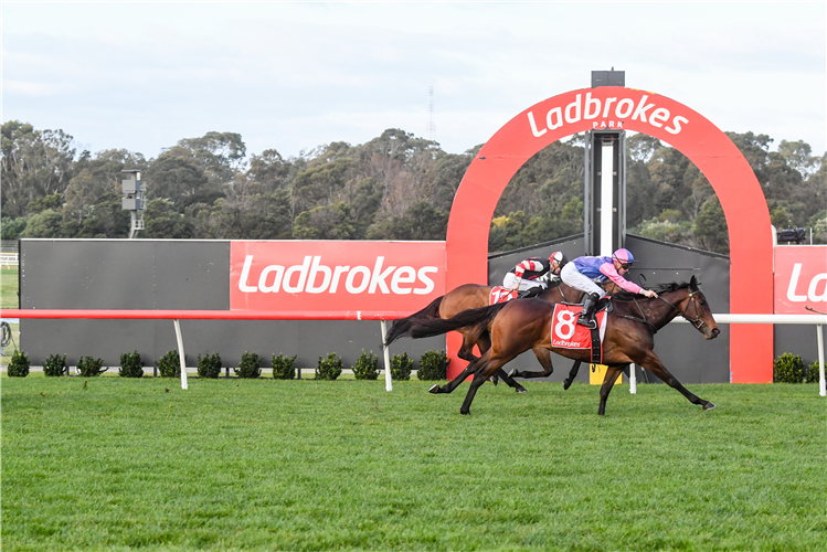 Ladbrokes Blog: Cyril Flower Stakes Day Preview 2024 | Sky Racing World ...