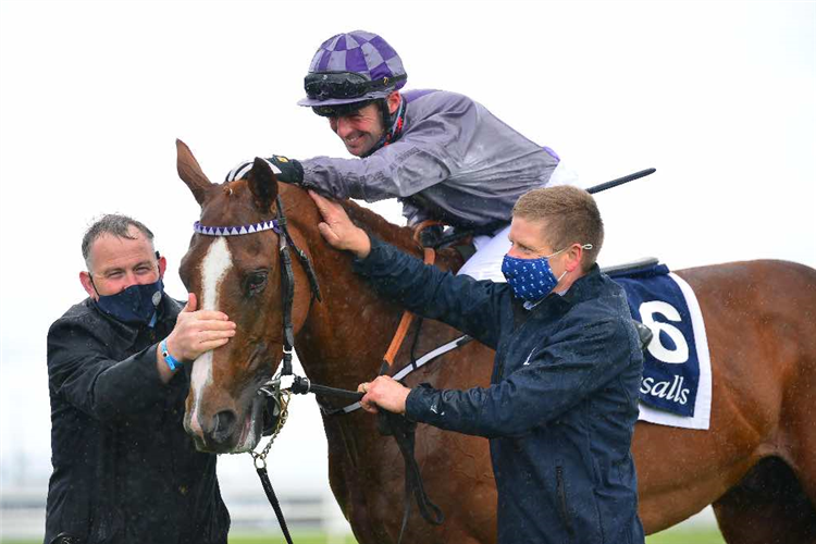 Mac Swiney Leads Home Irish Guineas One-Two For Jim Bolger | Racing and ...