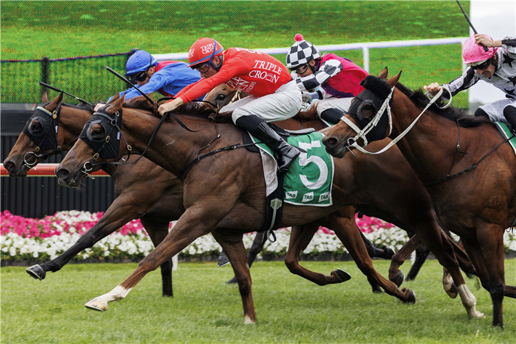 Today’S Horse Racing Tips – 13th October 2022 | Racing and Sports