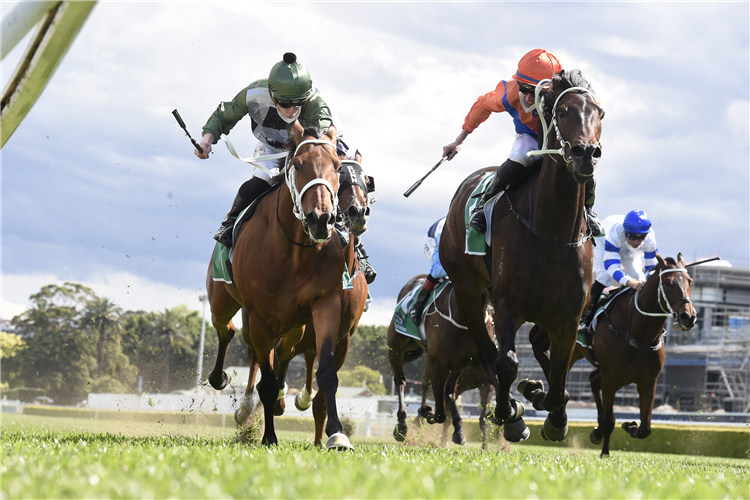 2023 Hill Stakes: Race History | Racing and Sports